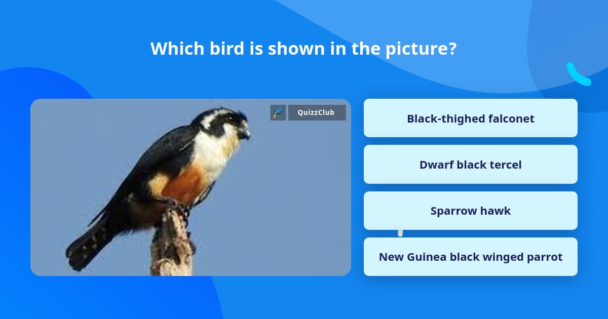 Which bird is shown in the picture? | Trivia Questions | QuizzClub