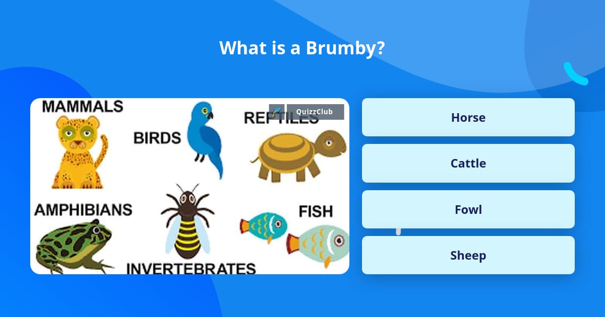 What is a Brumby? | Trivia Answers | QuizzClub