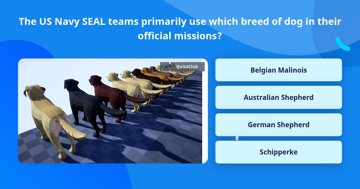 The US Navy SEAL teams primarily use... | Trivia Questions | QuizzClub