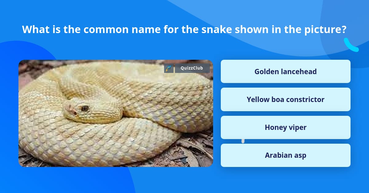 What is the common name for the... | Trivia Answers | QuizzClub