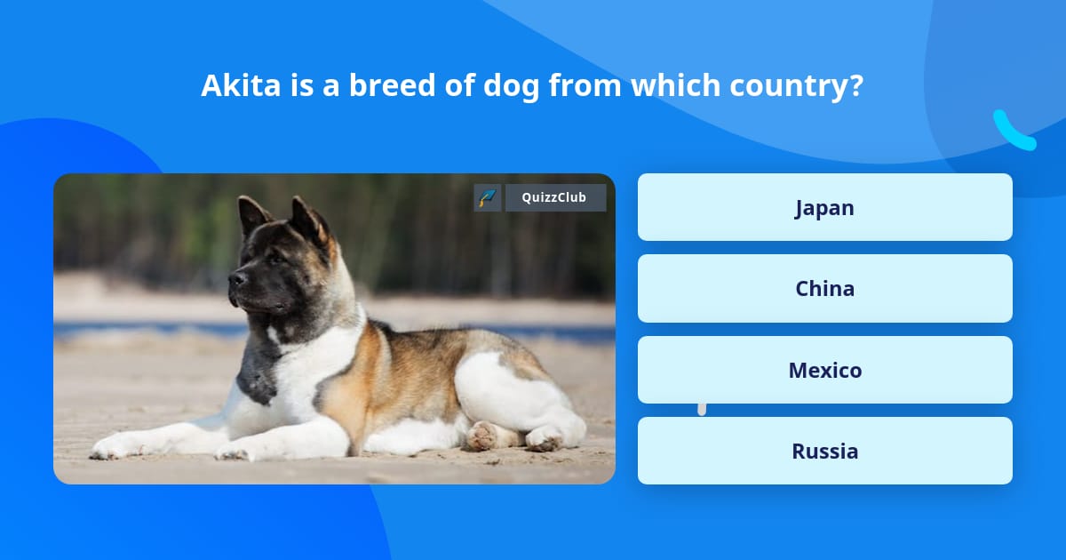Akita is a breed of dog from which... | Trivia Questions | QuizzClub