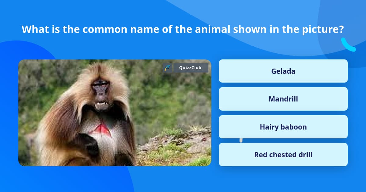 What is the common name of the... | Trivia Questions | QuizzClub