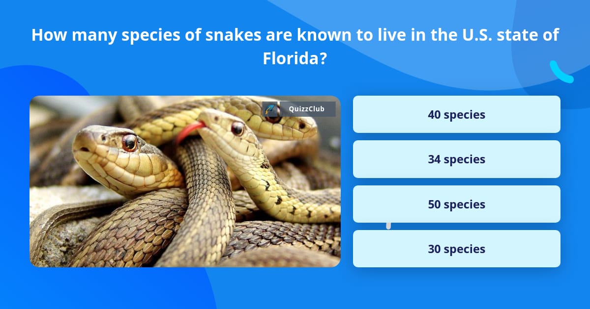 How many species of snakes are known... | Trivia Answers | QuizzClub