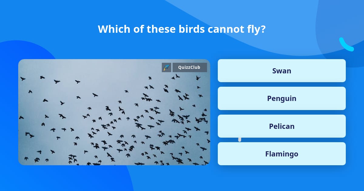 Which of these birds cannot fly? | Trivia Answers | QuizzClub